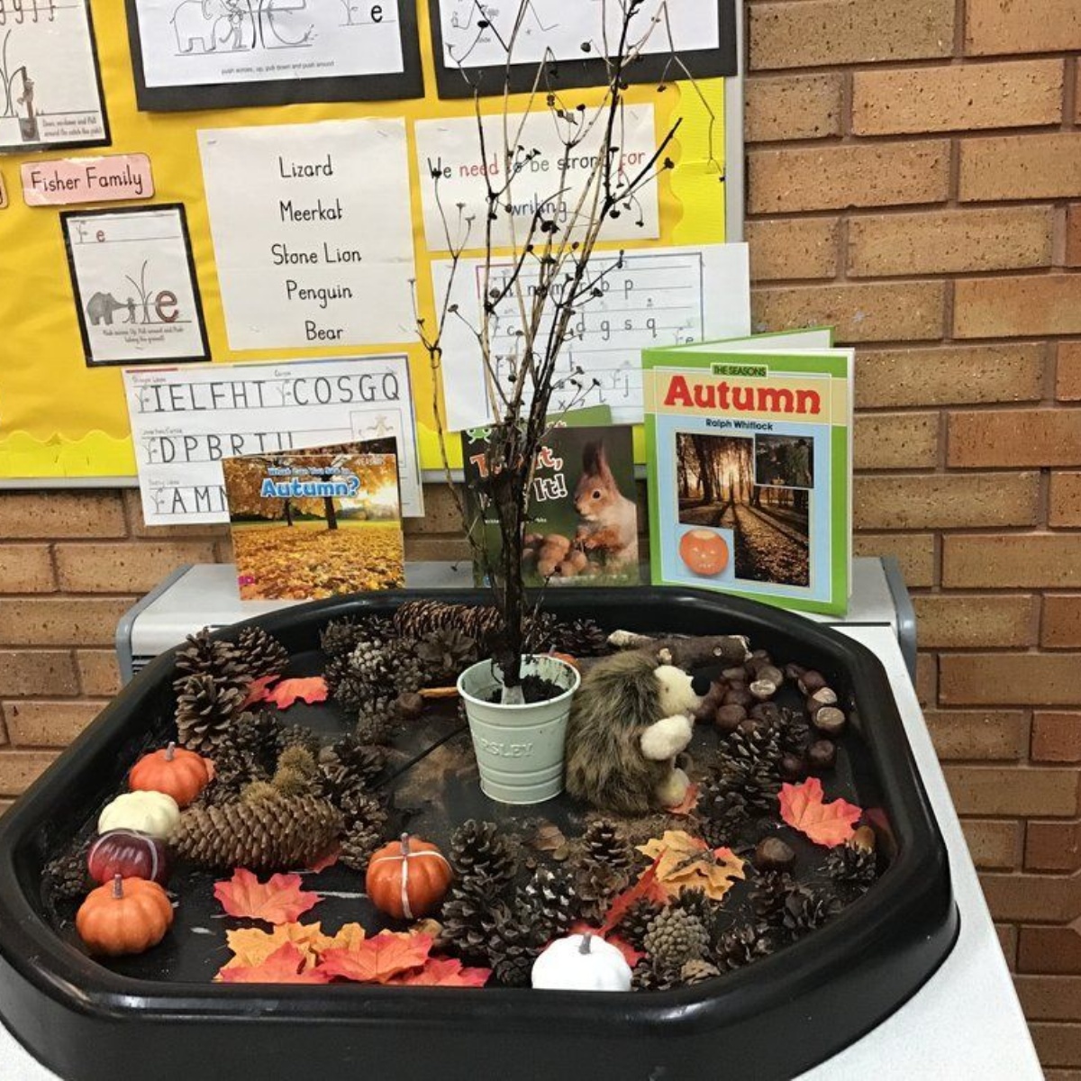 Sutton School - Friday 11th October 2024